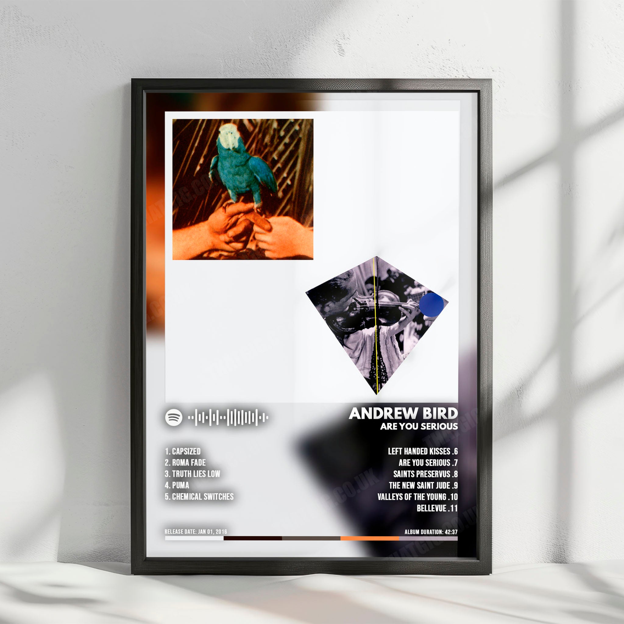 Andrew Bird "Are You Serious" Album Cover Poster | Complete Tracklist ...